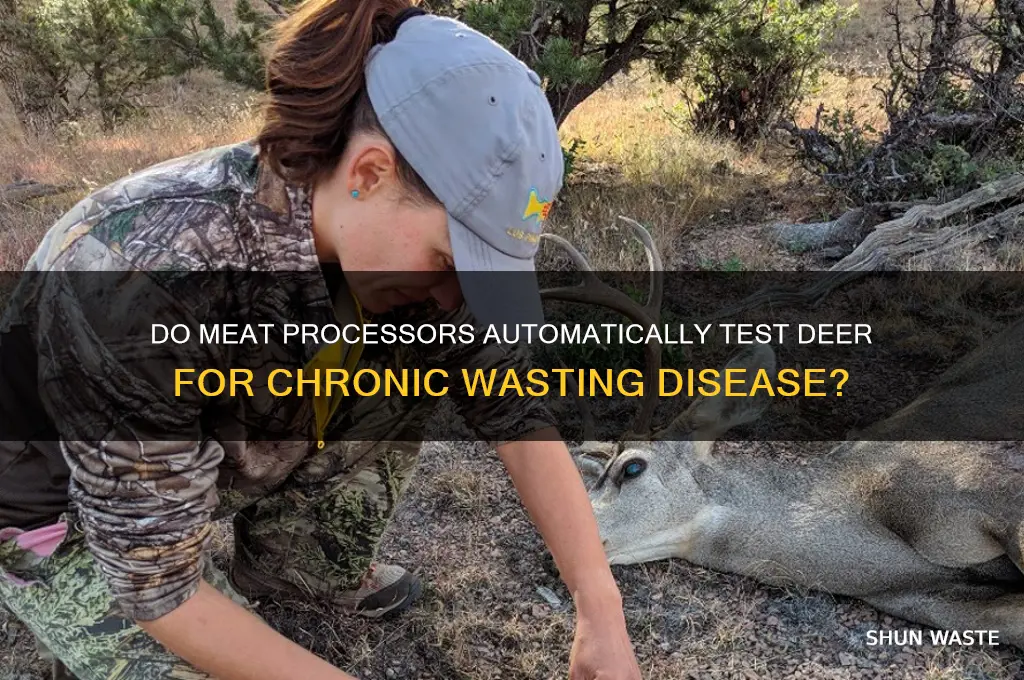 Do Meat Processors Automatically Test Deer For Chronic Wasting Disease ...