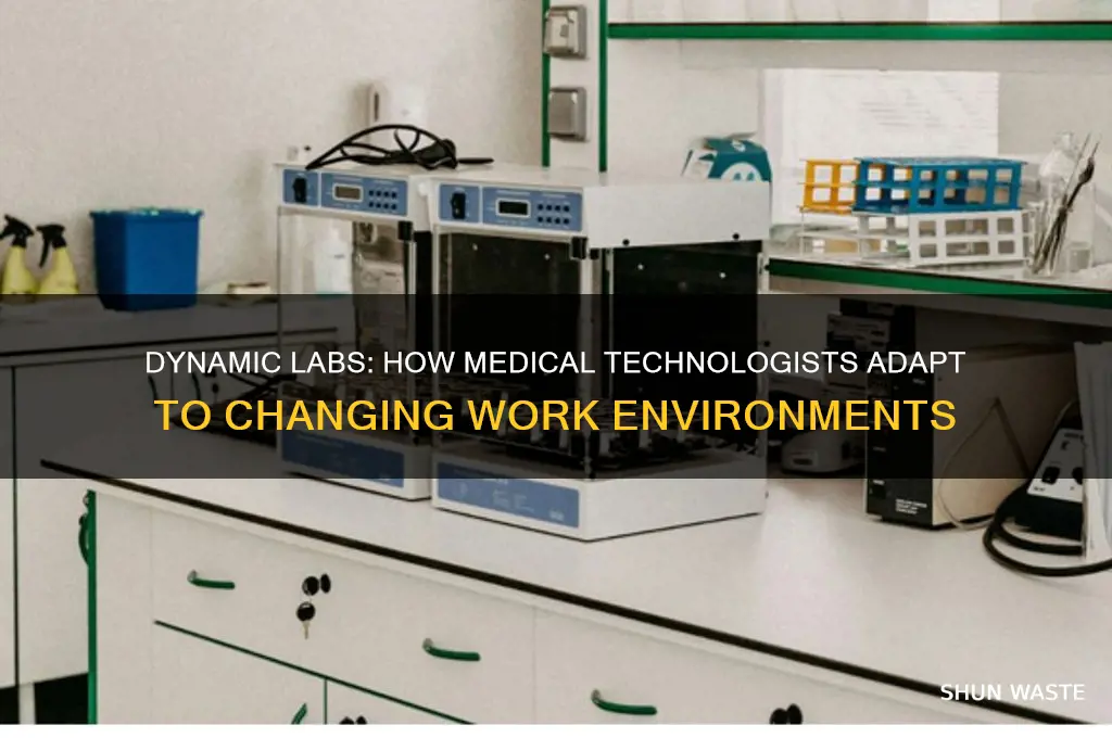 Dynamic Labs: How Medical Technologists Adapt To Changing Work ...