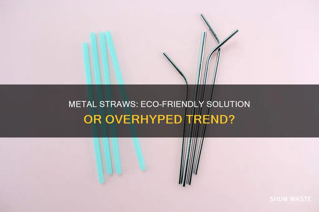 Metal Straws: Eco-Friendly Solution Or Overhyped Trend? | ShunWaste