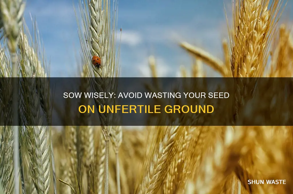 Sow Wisely: Avoid Wasting Your Seed On Unfertile Ground | ShunWaste