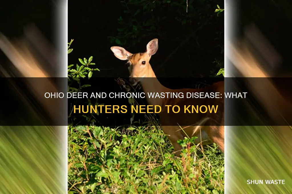 Ohio Deer And Chronic Wasting Disease: What Hunters Need To Know ...