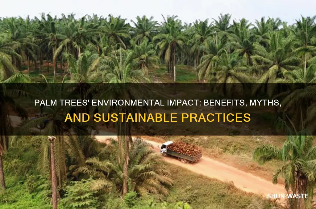 Palm Trees' Environmental Impact: Benefits, Myths, And Sustainable ...