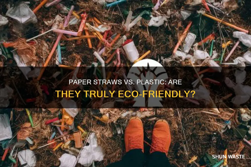 Paper Straws Vs. Plastic: Are They Truly Eco-Friendly? | ShunWaste