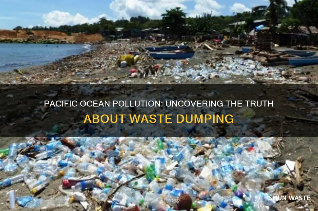 Pacific Ocean Pollution: Uncovering The Truth About Waste Dumping ...