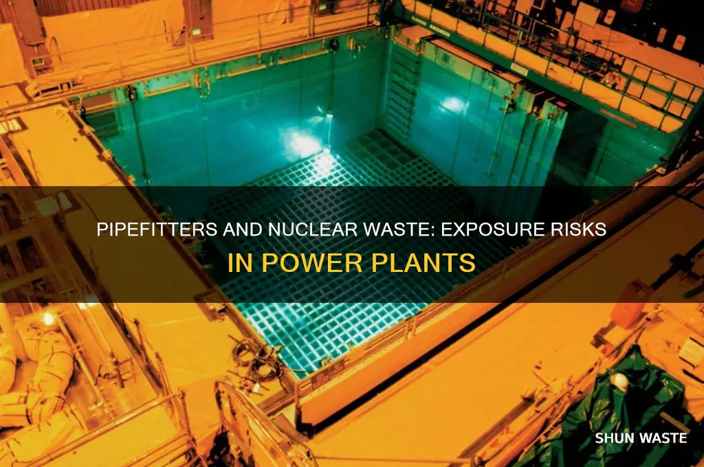 Pipefitters And Nuclear Waste: Exposure Risks In Power Plants | ShunWaste