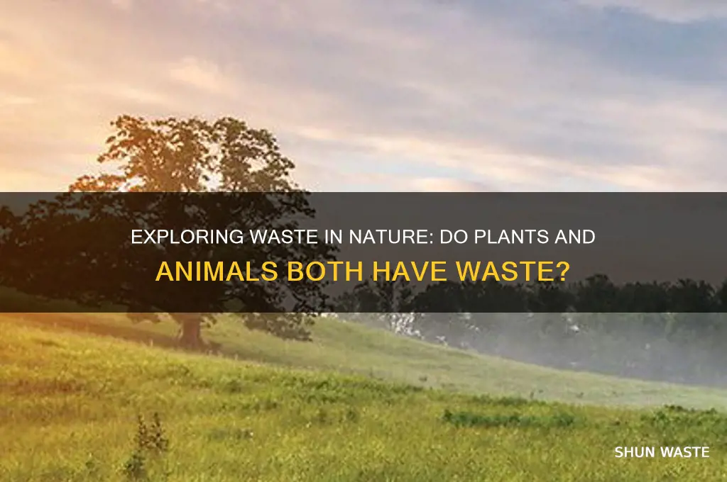 Exploring Waste In Nature: Do Plants And Animals Both Have Waste ...