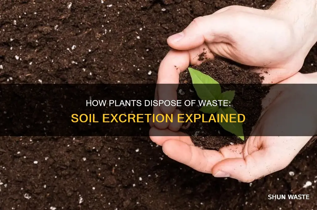 How Plants Dispose Of Waste: Soil Excretion Explained | ShunWaste