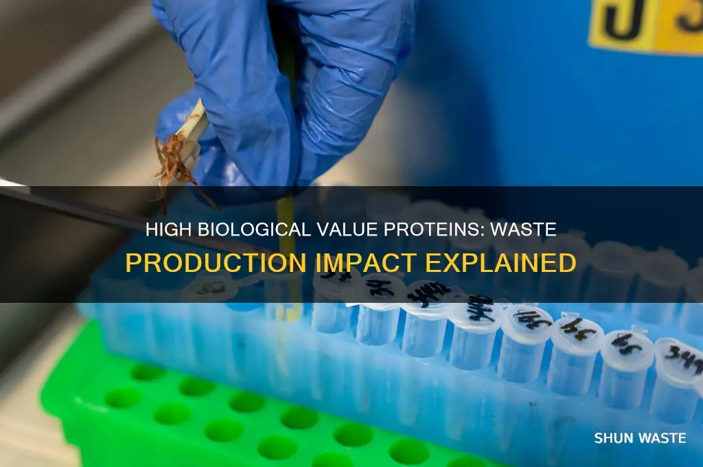 High Biological Value Proteins: Waste Production Impact Explained ...