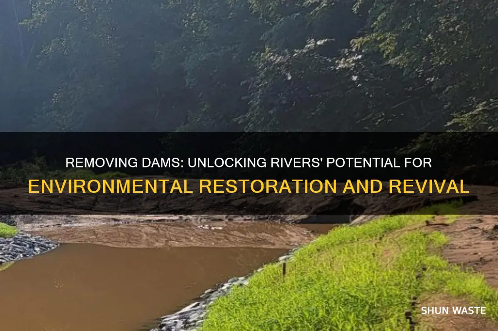 Removing Dams: Unlocking Rivers' Potential For Environmental ...