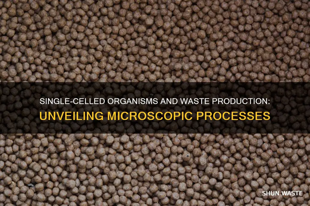 Single-Celled Organisms And Waste Production: Unveiling Microscopic ...