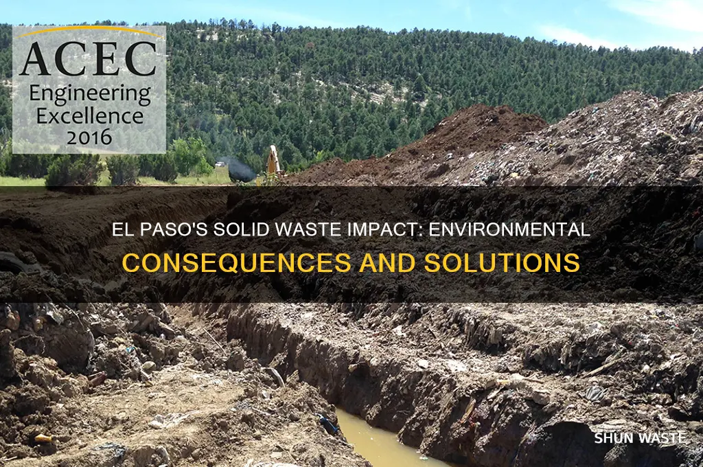 El Paso's Solid Waste Impact: Environmental Consequences And Solutions ...