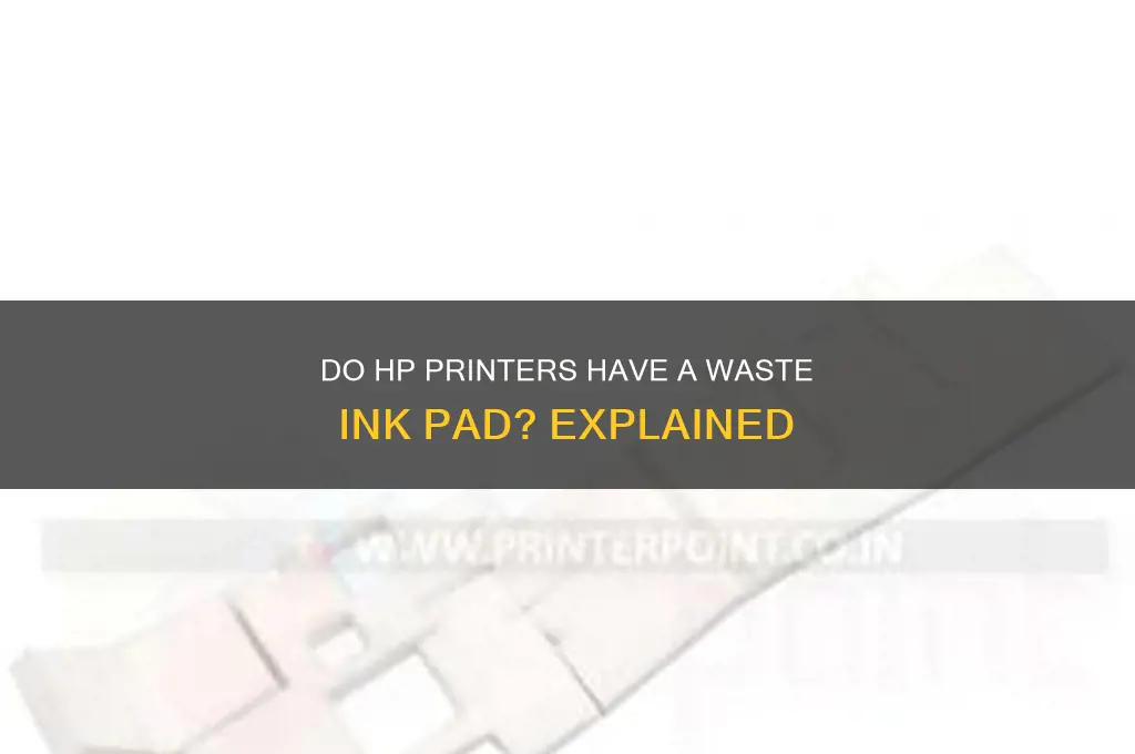 Do Hp Printers Have A Waste Ink Pad? Explained | ShunWaste