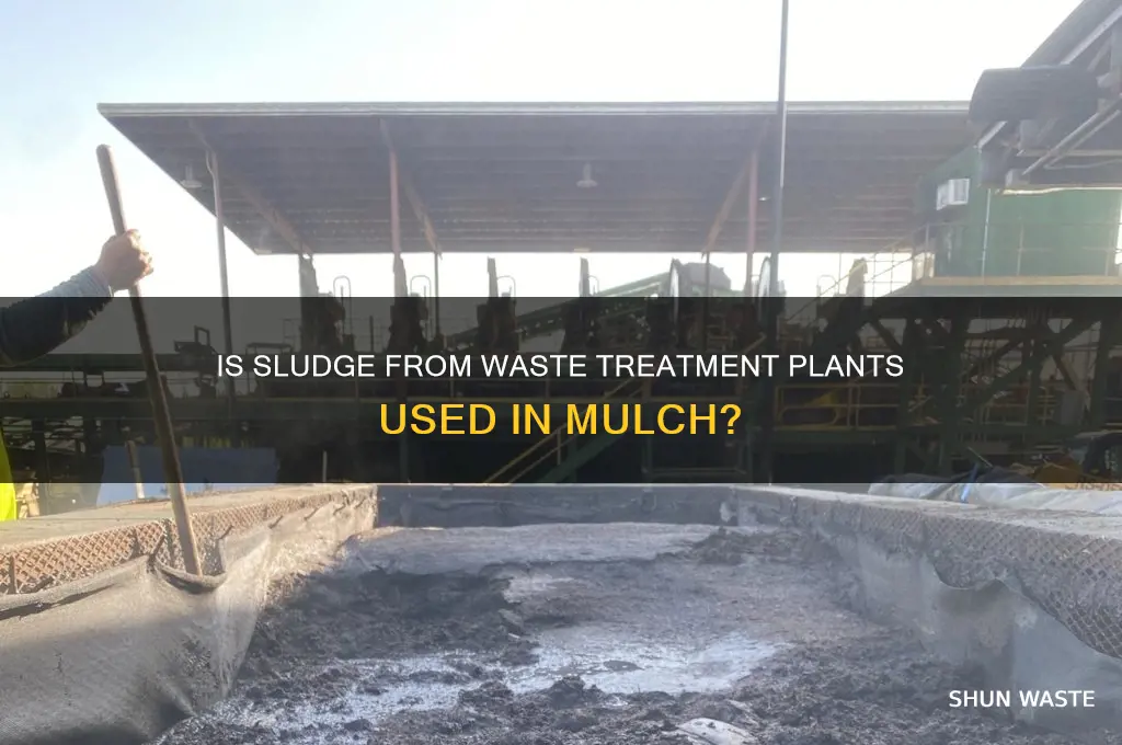 Is Sludge From Waste Treatment Plants Used In Mulch? | ShunWaste