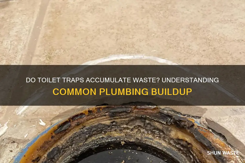 Do Toilet Traps Accumulate Waste? Understanding Common Plumbing Buildup ...