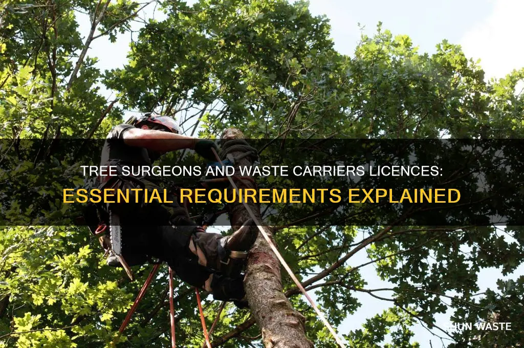 Tree Surgeons And Waste Carriers Licences: Essential Requirements ...