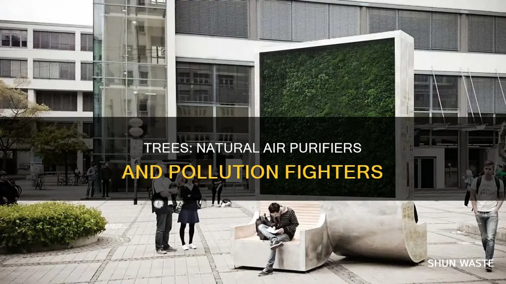 Trees: Natural Air Purifiers And Pollution Fighters | ShunWaste