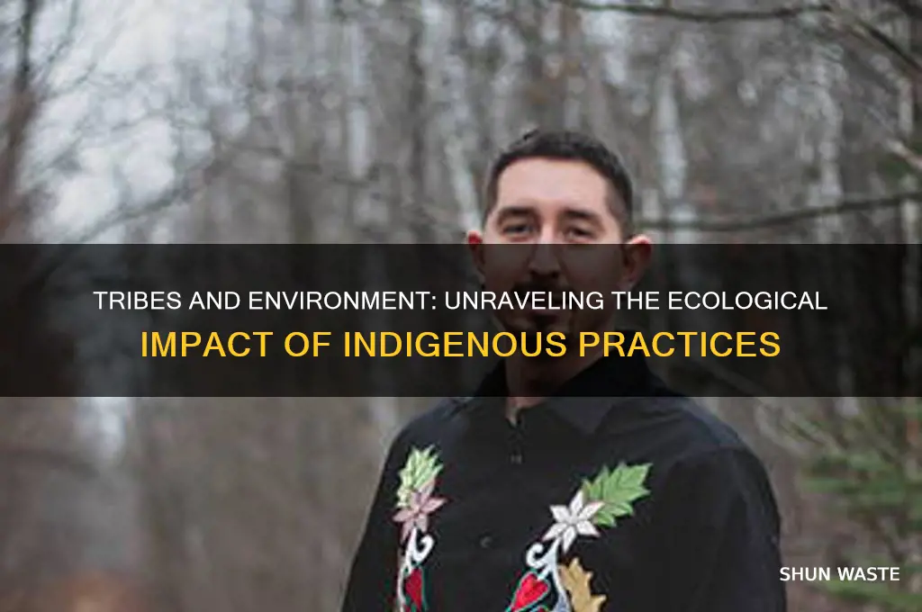 Tribes And Environment: Unraveling The Ecological Impact Of Indigenous ...