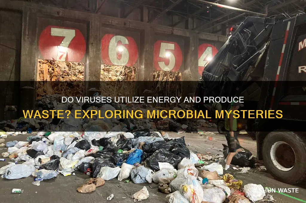 Do Viruses Utilize Energy And Produce Waste? Exploring Microbial ...