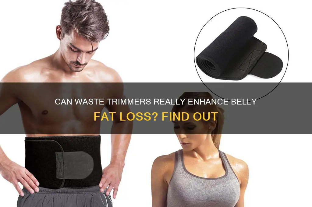 Can Waste Trimmers Really Enhance Belly Fat Loss? Find Out | ShunWaste