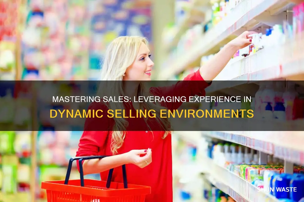 Mastering Sales: Leveraging Experience In Dynamic Selling Environments ...