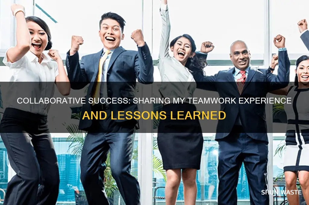 Collaborative Success: Sharing My Teamwork Experience And Lessons ...