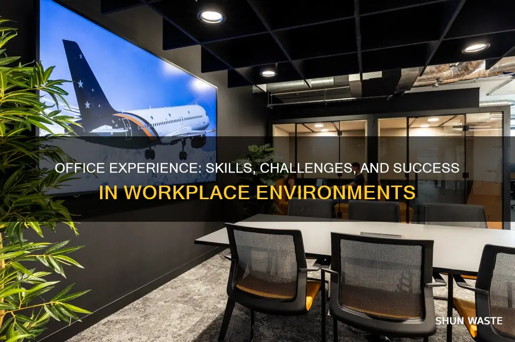 Office Experience: Skills, Challenges, And Success In Workplace ...