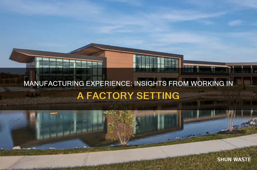 Manufacturing Experience: Insights From Working In A Factory Setting ...