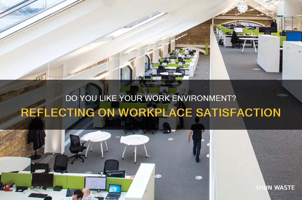 Do You Like Your Work Environment? Reflecting On Workplace Satisfaction ...