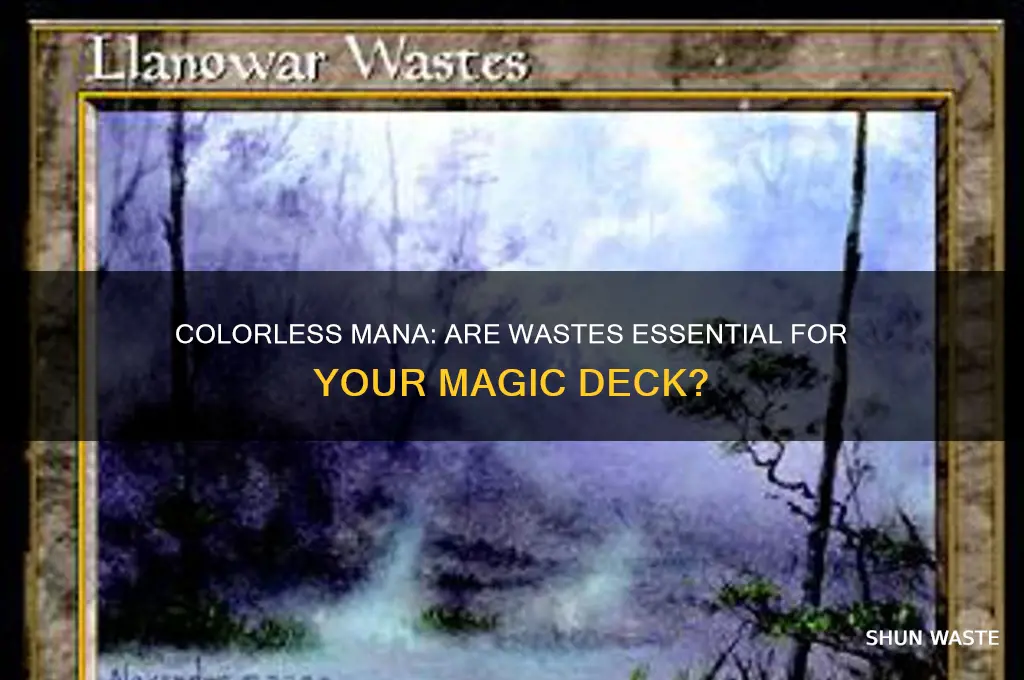 Colorless Mana: Are Wastes Essential For Your Magic Deck? | ShunWaste