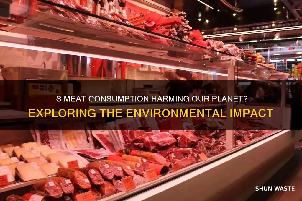 Is Meat Consumption Harming Our Planet? Exploring The Environmental ...