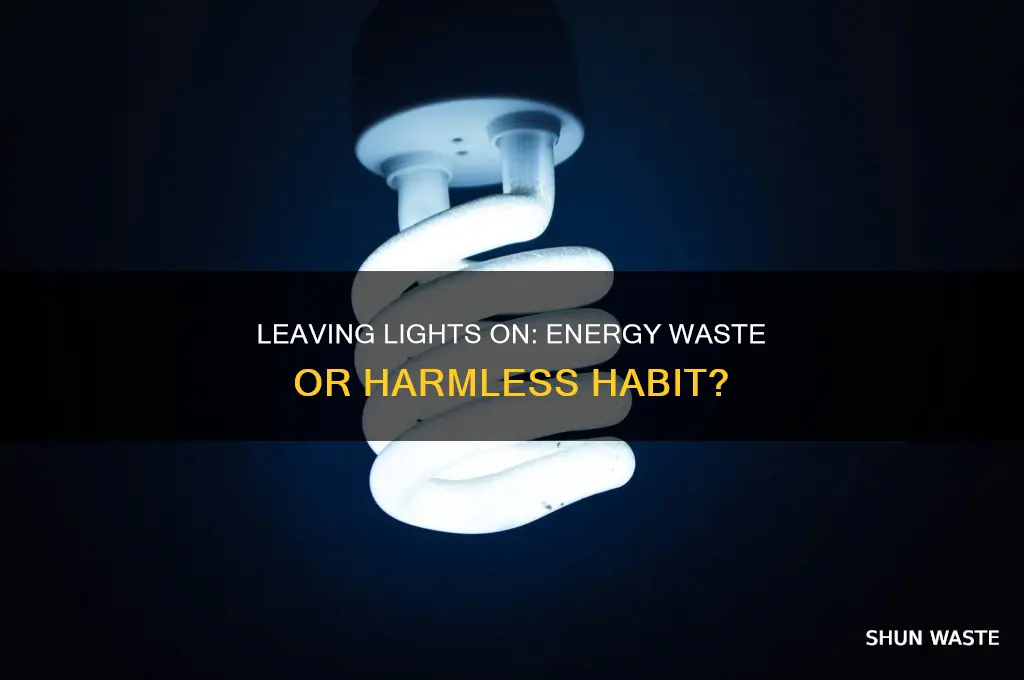 Leaving Lights On: Energy Waste Or Harmless Habit? | ShunWaste