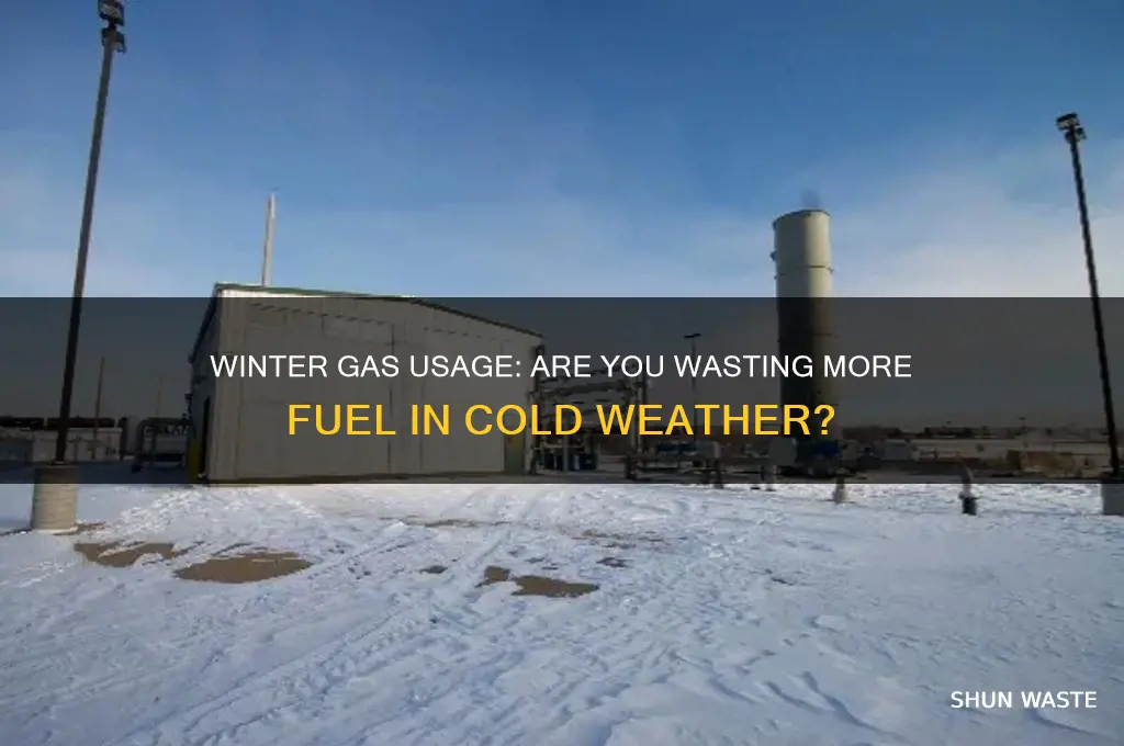 Winter Gas Usage: Are You Wasting More Fuel In Cold Weather? | ShunWaste