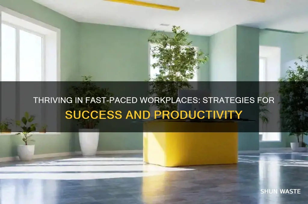 Thriving In Fast-Paced Workplaces: Strategies For Success And ...