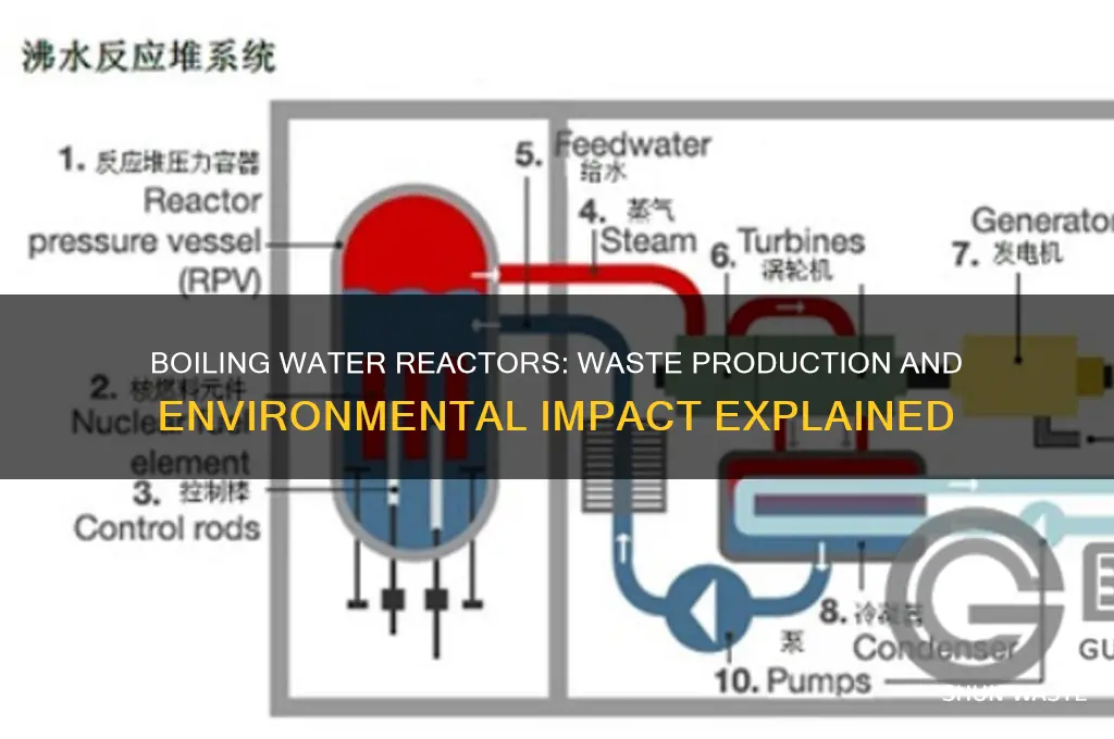Boiling Water Reactors: Waste Production And Environmental Impact ...
