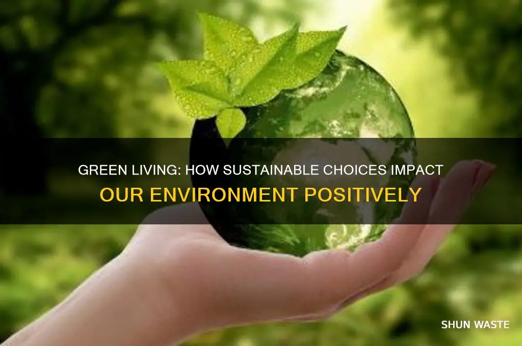 Green Living: How Sustainable Choices Impact Our Environment Positively ...
