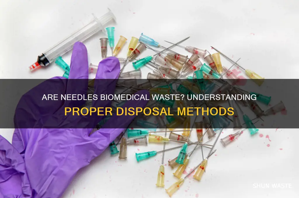 Are Needles Biomedical Waste? Understanding Proper Disposal Methods ...