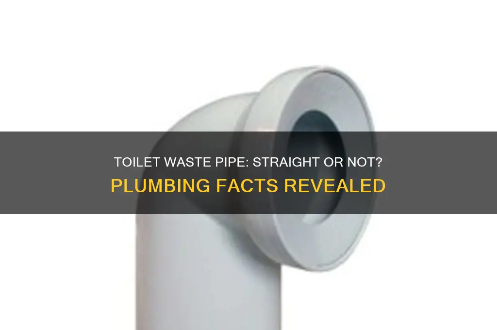 Toilet Waste Pipe: Straight Or Not? Plumbing Facts Revealed | ShunWaste