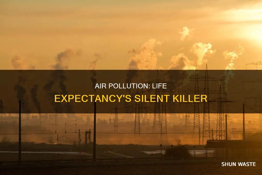 Air Pollution: Life Expectancy's Silent Killer | ShunWaste