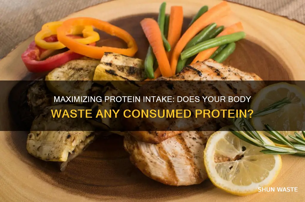 Maximizing Protein Intake: Does Your Body Waste Any Consumed Protein ...
