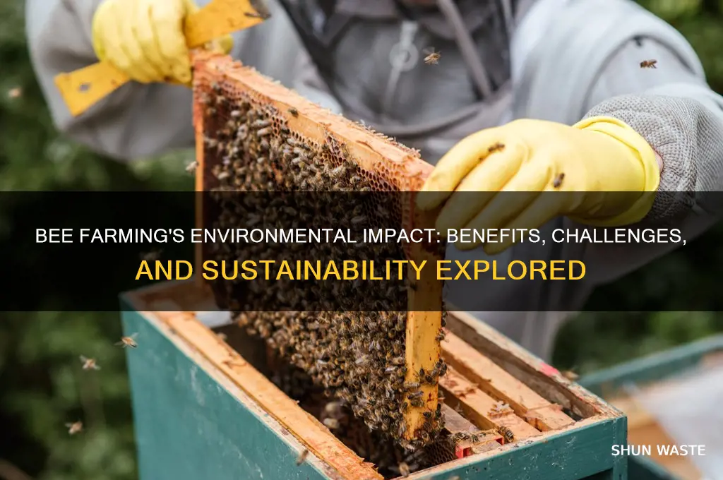 Bee Farming's Environmental Impact: Benefits, Challenges, And ...