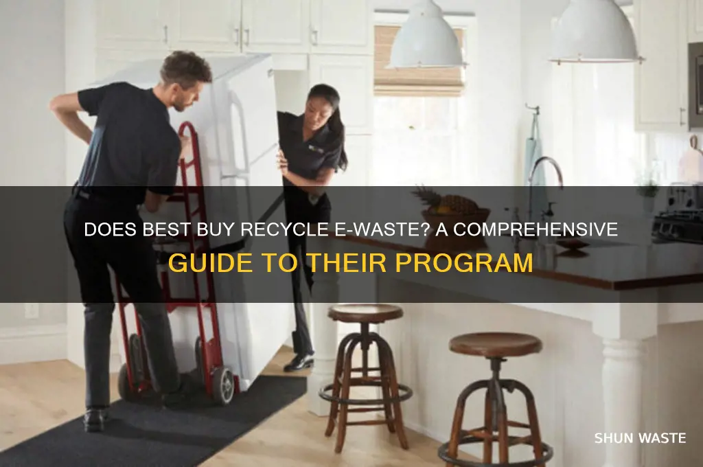 Does Best Buy Recycle E-Waste? A Comprehensive Guide To Their Program ...