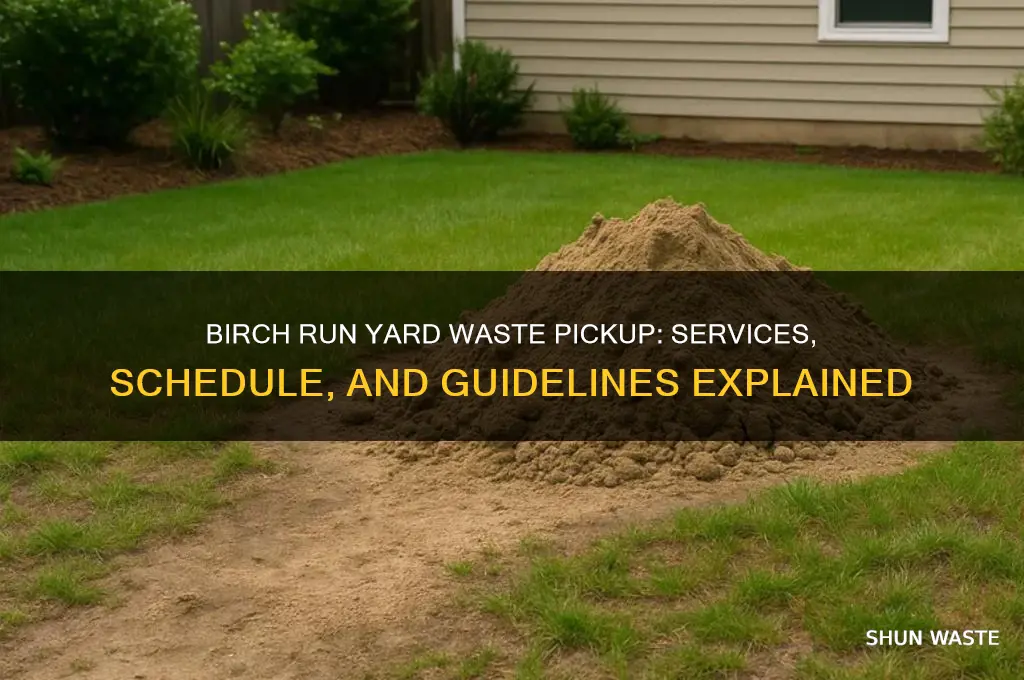 Birch Run Yard Waste Pickup: Services, Schedule, And Guidelines ...