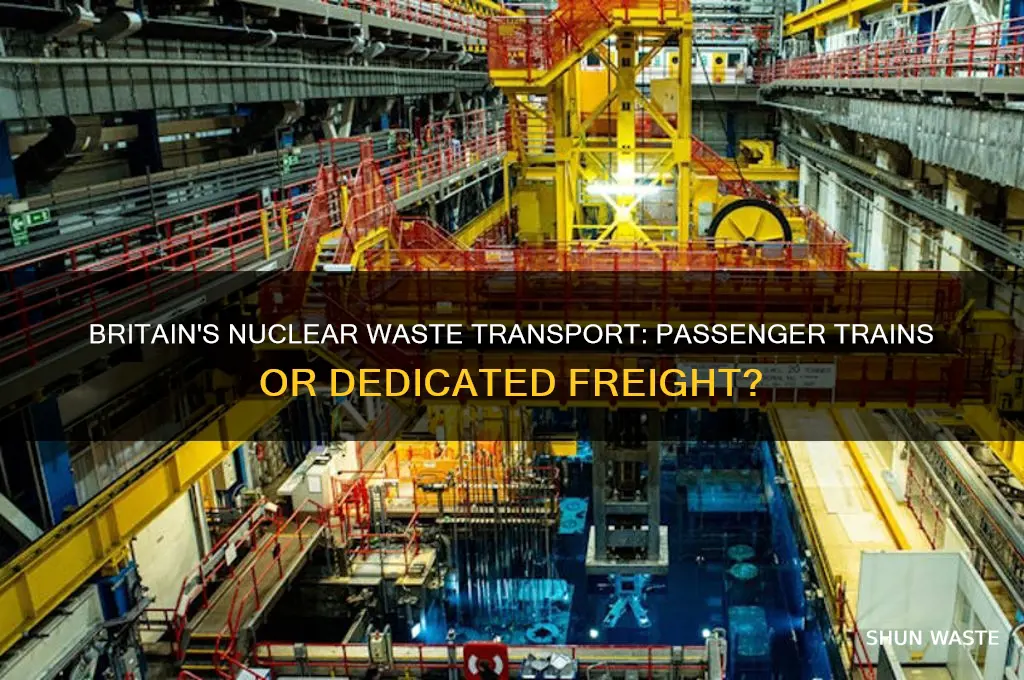 Britain's Nuclear Waste Transport: Passenger Trains Or Dedicated ...