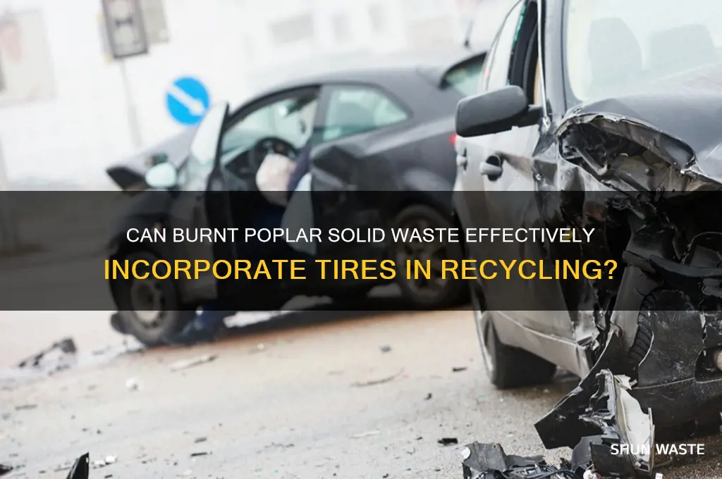 Can Burnt Poplar Solid Waste Effectively Incorporate Tires In Recycling ...