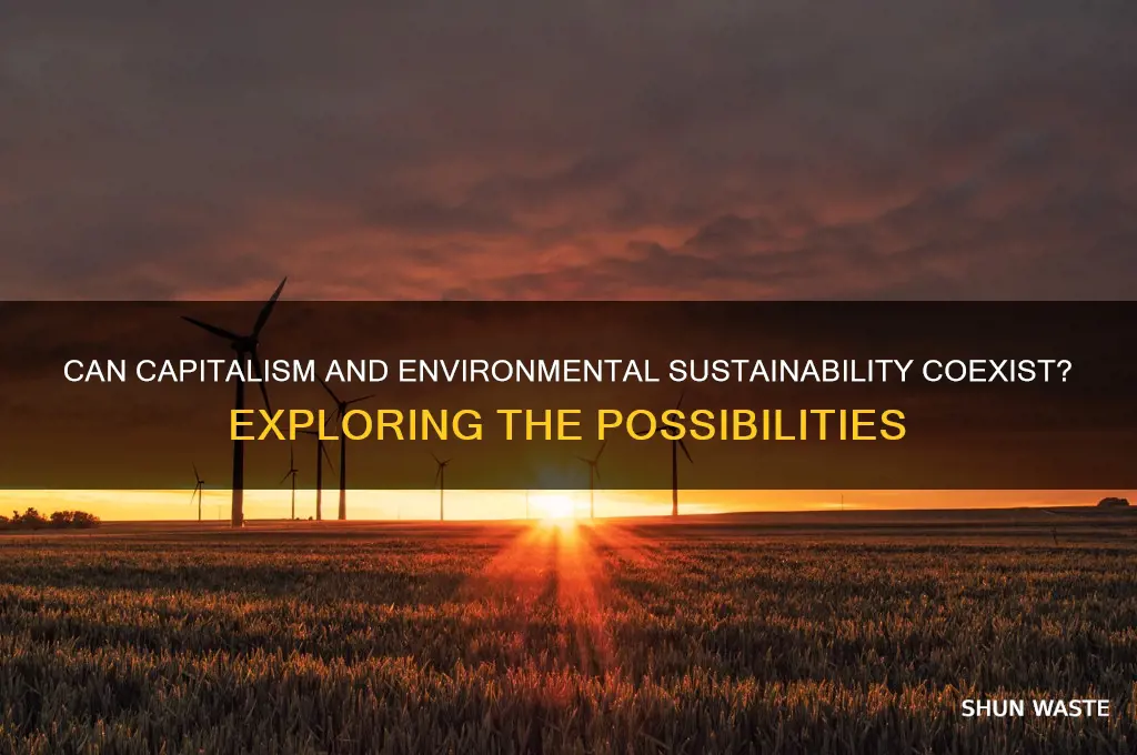 Can Capitalism And Environmental Sustainability Coexist? Exploring The ...