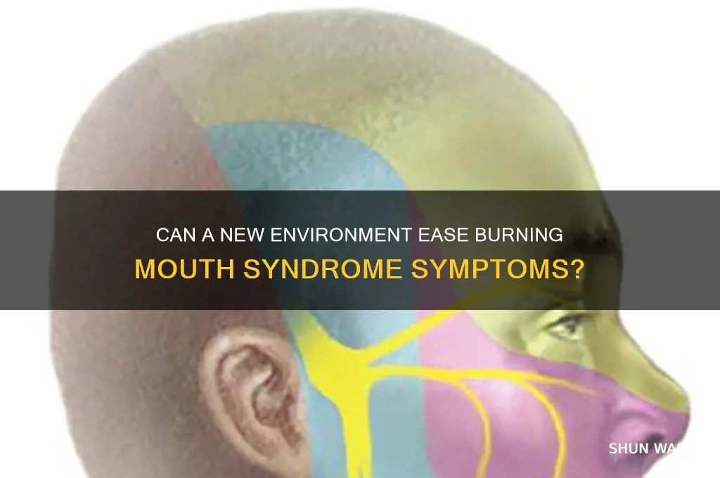 Can A New Environment Ease Burning Mouth Syndrome Symptoms? | ShunWaste
