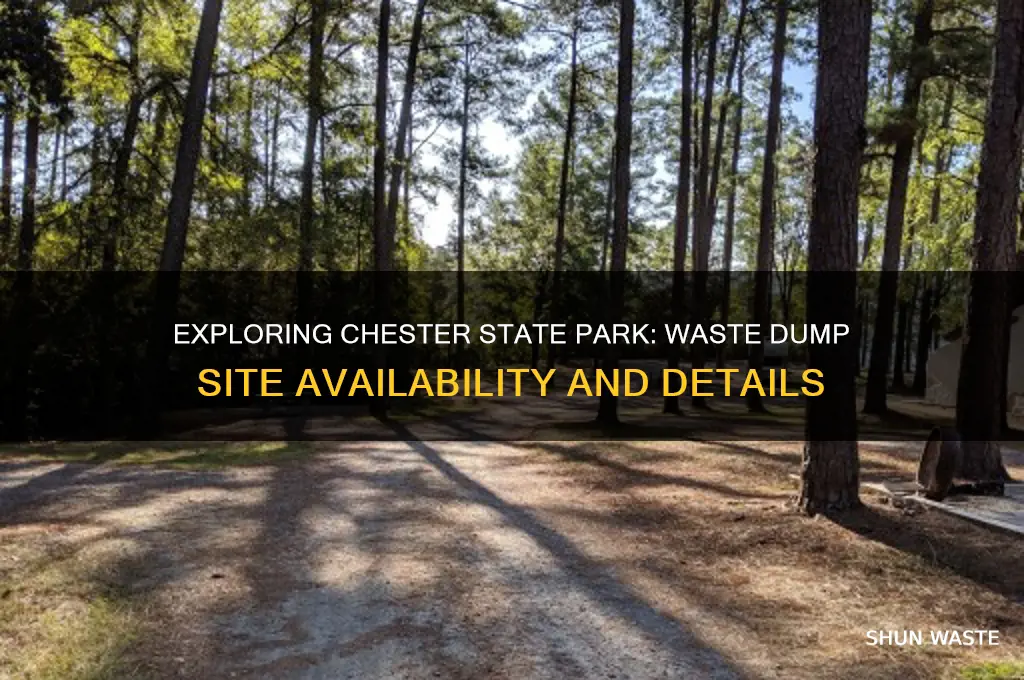 Exploring Chester State Park: Waste Dump Site Availability And Details ...