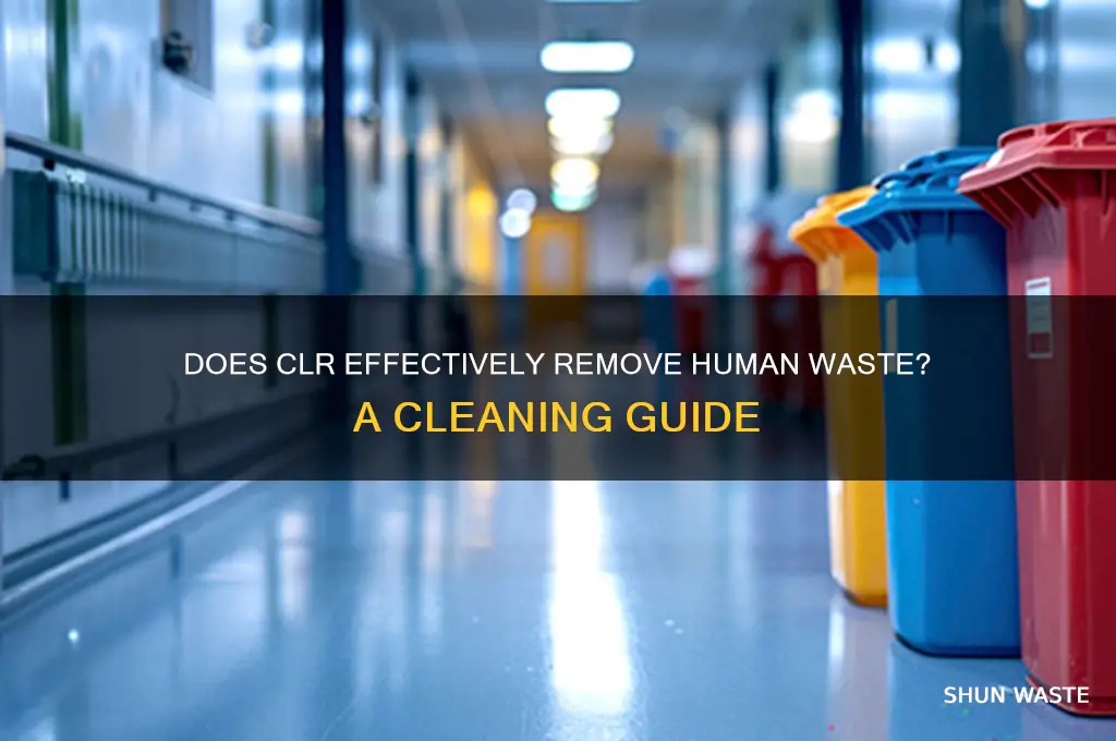 Does Clr Effectively Remove Human Waste? A Cleaning Guide | ShunWaste