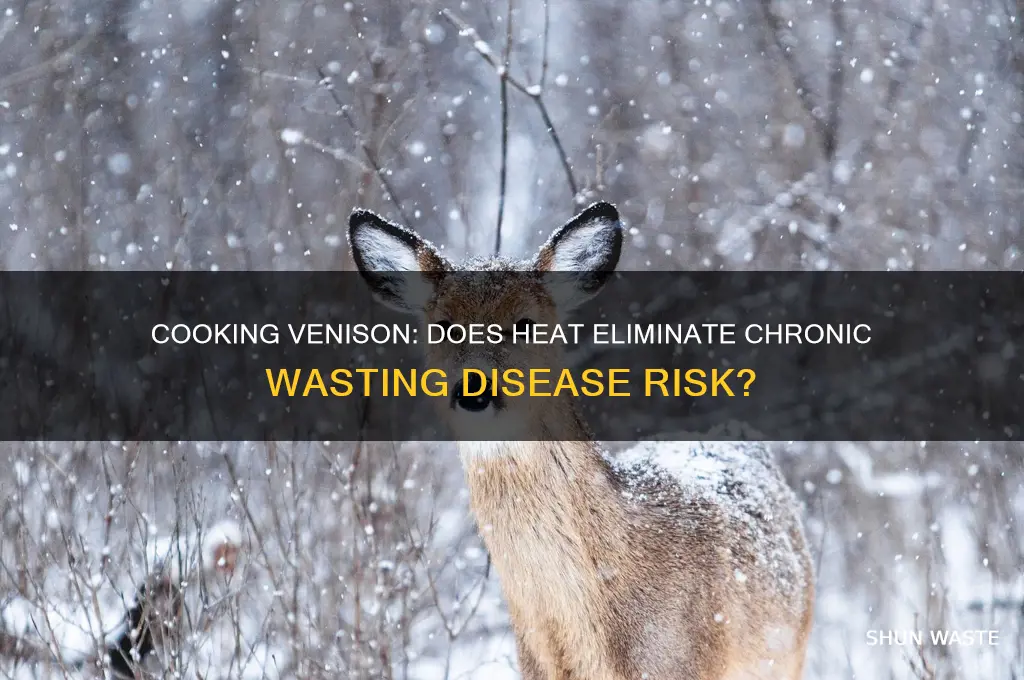 Cooking Venison: Does Heat Eliminate Chronic Wasting Disease Risk ...