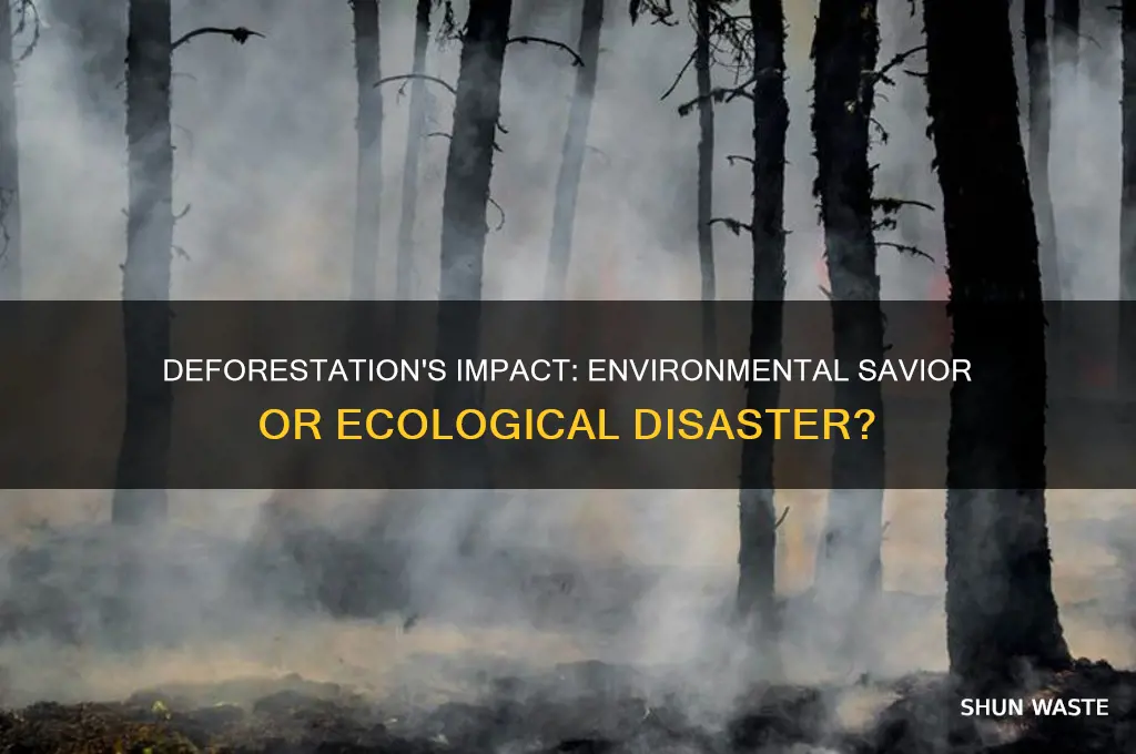 Deforestation's Impact: Environmental Savior Or Ecological Disaster ...